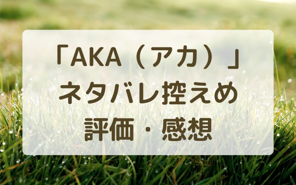 インディーゲーム「AKA（アカ）」Switch版のレビュー | みちくさロッジ